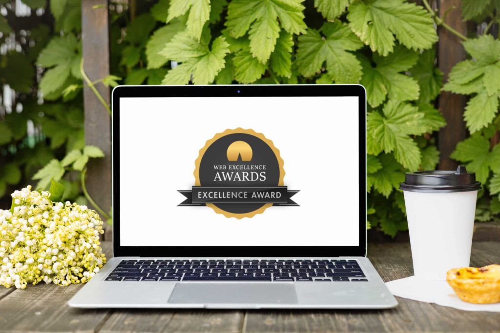 Top Fox Marketing wins at the 9th Web Excellence Awards Competition ...